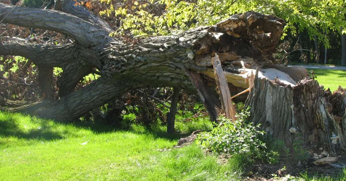 Work continues from Thursday's storm clean up | North Middlesex