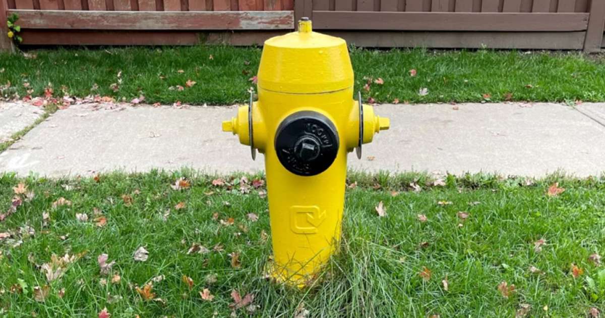 Fire Hydrant Painting | North Middlesex